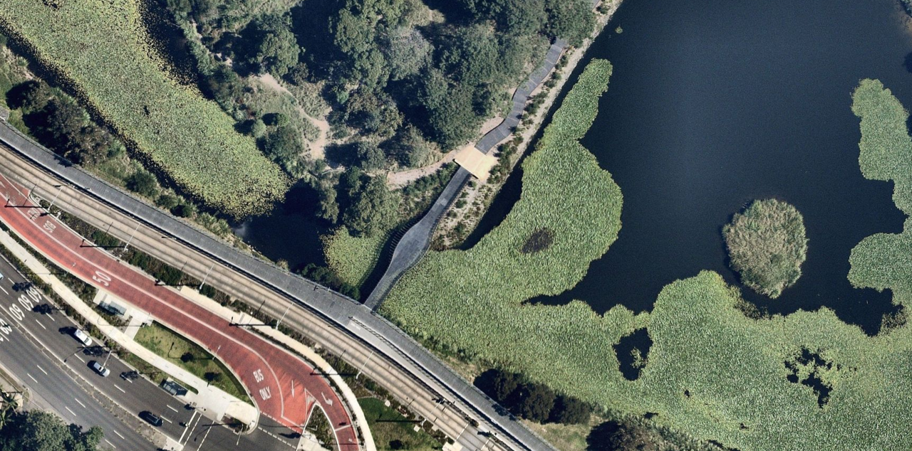 Bara Bridge at Kensington Ponds, Centennial Parklands | Biennal